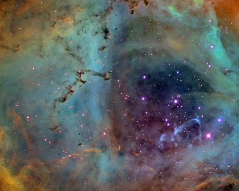 Os Amendoins do Ricky - Onde cultura e parvalheira se entrecruzam de ...